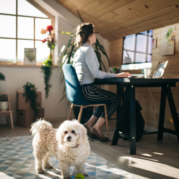 Best Free Conference Call Service [Features & Benefits]