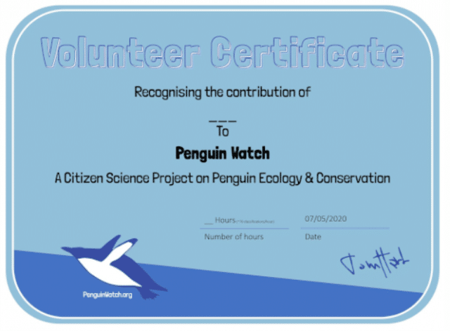 The Ultimate Guide to Online Learning Tools | RingCentral UK Blog